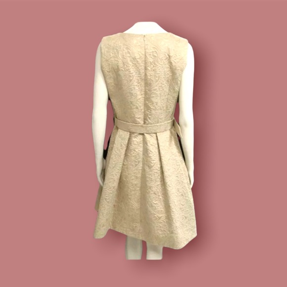 Pauw Amsterdam | Dresses | Nwt Pauw Amsterdam Gold Brocade Belted Aline ...